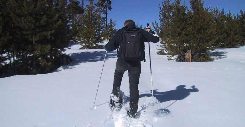 From Gardiner: Yellowstone National Park Snowshoe Tour - Who Will Love This Tour?