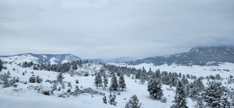 From Gardiner: Yellowstone National Park Snowshoe Tour - The Sum Up