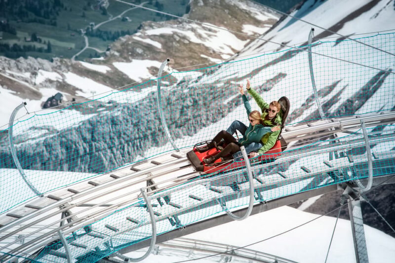From Geneva: Glacier 3000 and Fun Park Private Day Trip - Customer Feedback and Ratings