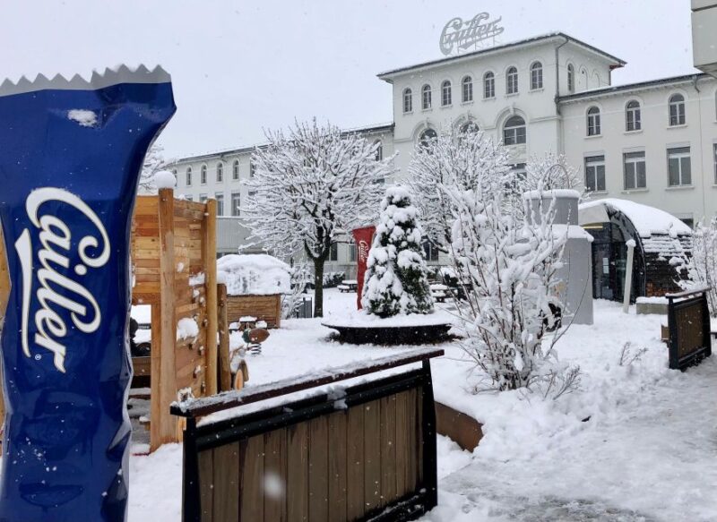 From Geneva: Gruyére Chocolate and Cheese Tasting Day Trip - Cheese and Chocolate Experiences