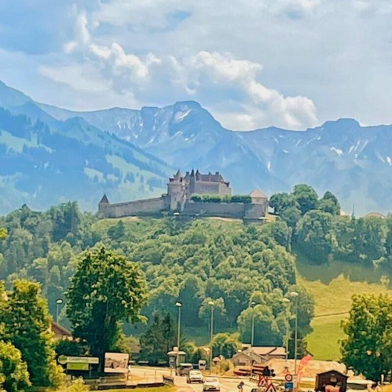 From Geneva: Gruyeres Castle, Cheese, Chocolate & Montreux - Important Information