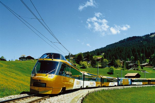 From Geneva: Gruyères Gold Tour With Train Ride & Tastings - Lunch at a Traditional Restaurant
