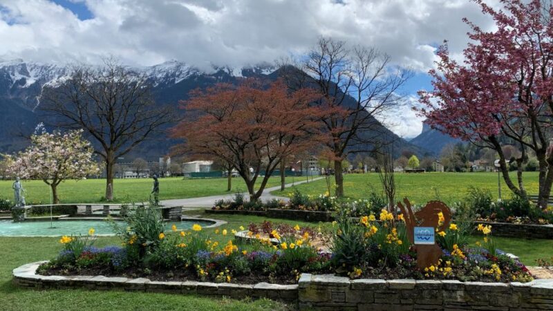 From Geneva, Montreux: Crash Landing On You Locations Tour - Since You Asked