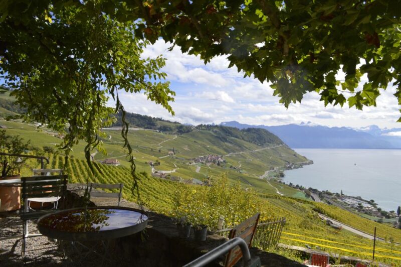 From Geneva: Swiss Riviera Private Tour - Marveling at the Lavaux Vineyards and Montreux