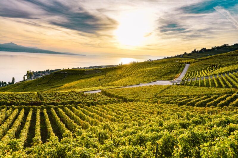 From Geneva: Swiss Riviera Tour - Itinerary Highlights