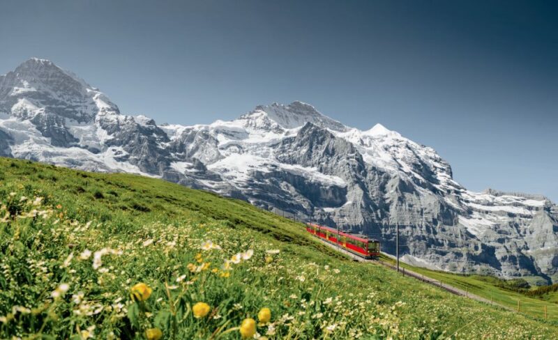 From Geneva to Interlaken - Experience Swiss Specialties