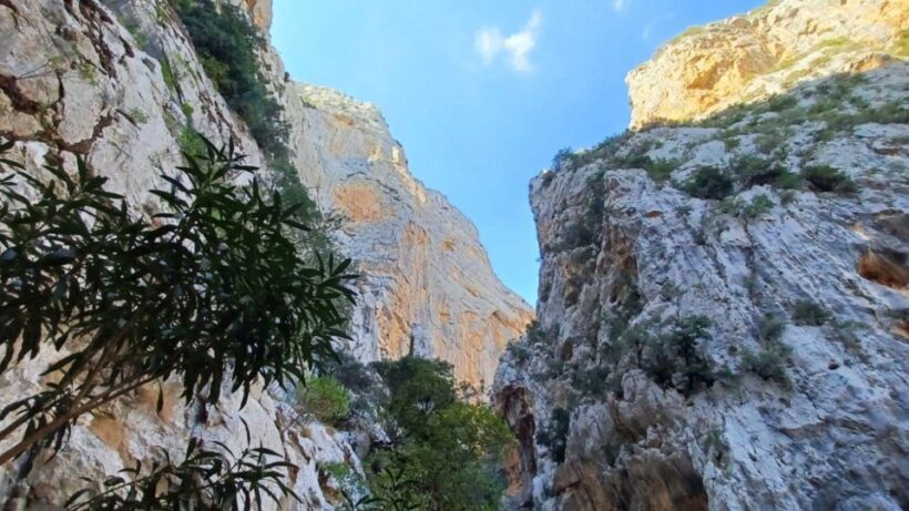 From Genna Silana: Canyon of Gorropu Guided Hike - Final Thoughts: Is It Worth It?