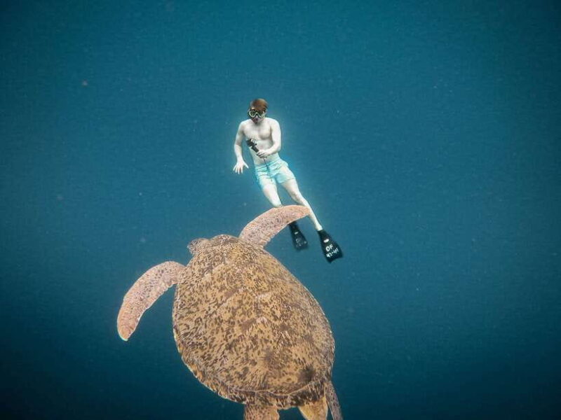 From Gili Air: Snorkeling with Turtles & Underwater Statue - Key Points