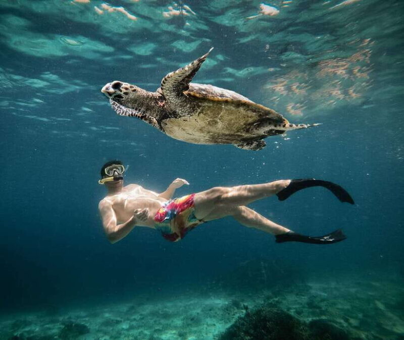 From Gili Air: Snorkeling with Turtles & Underwater Statue - Transportation and Group Dynamics