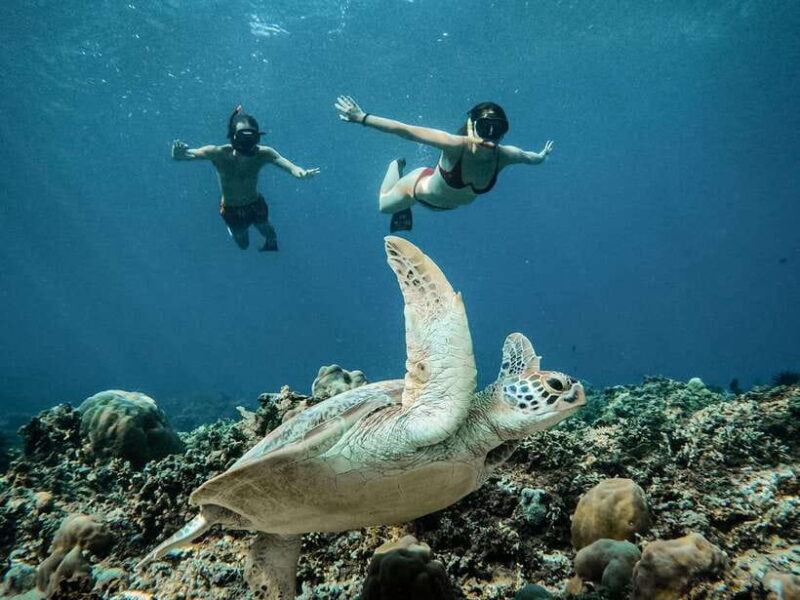 From Gili Air: Snorkeling with Turtles & Underwater Statue - Authentic Perspectives from Travelers