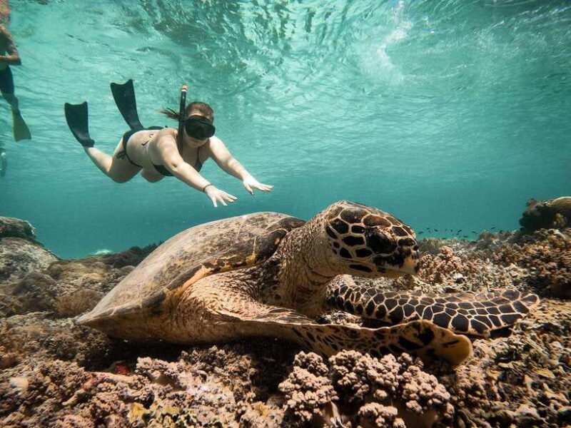 From Gili Air: Snorkeling with Turtles & Underwater Statue - FAQ