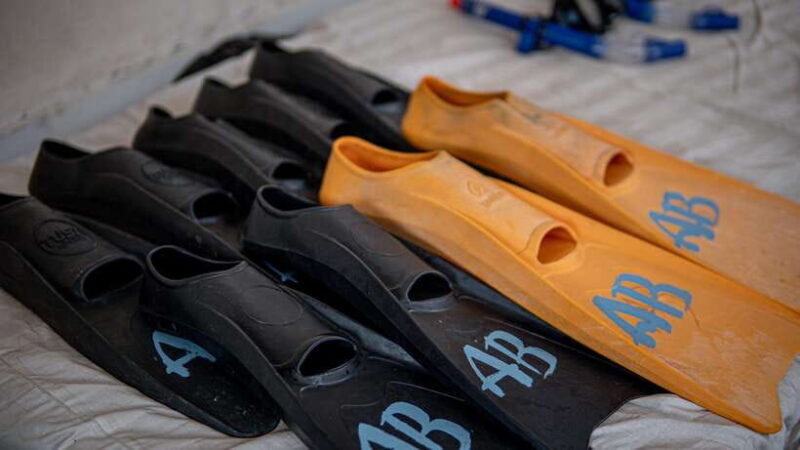 From Gili Meno: Private Snorkeling with Turtle & Statue - What Makes This Tour Stand Out?