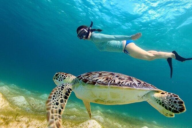 From Gili Trawangan: Island Hopping Snorkeling Trip - Final Thoughts: Is This Tour Right for You?