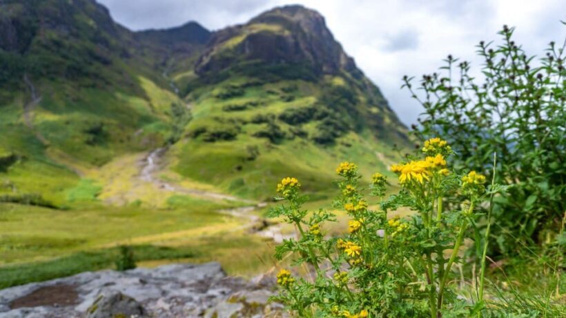 From Glasgow: Jacobite Steam Train & The Highlands Tour - Key Points