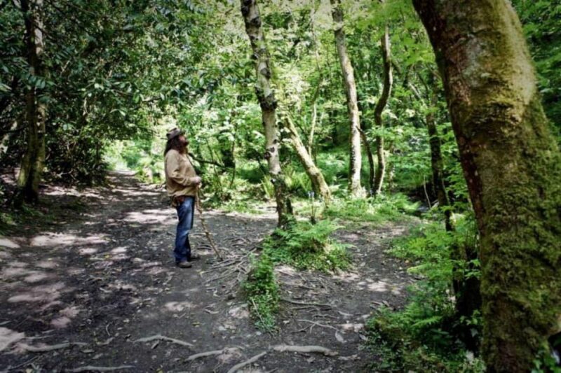 From Glastonbury: 2-Day Tintagel, Boscastle & Dartmoor Tour - What Travelers Can Expect