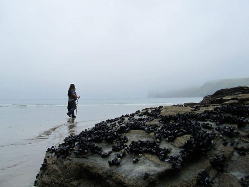 From Glastonbury: 2-Day Tintagel, Boscastle & Dartmoor Tour - Final Thoughts