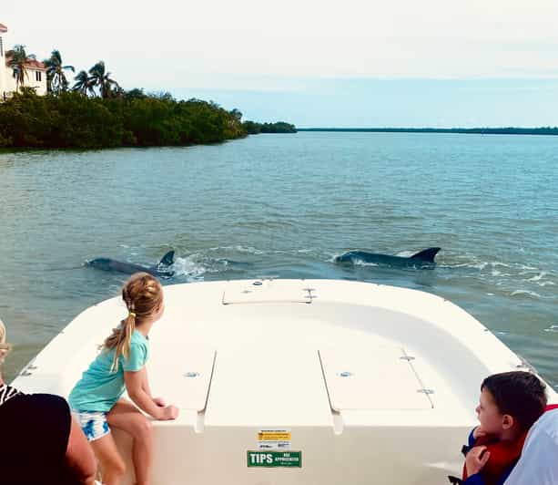 From Goodland: Private Shelling and Dolphin Watching Cruise - Key Points