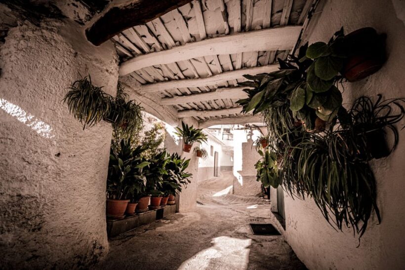 From Granada: Alpujarra Region Full Day Tour - Practical Tips for Travelers