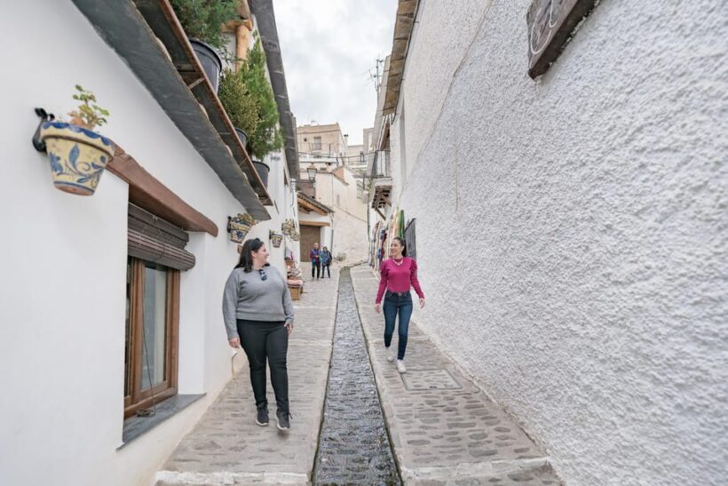 From Granada: Alpujarra Villages Guided Day Tour - Food and Refreshments