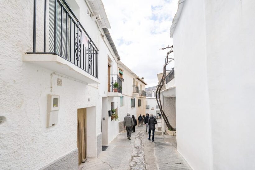 From Granada: Alpujarra Villages Guided Day Tour - Transport, Group Size, and Overall Value