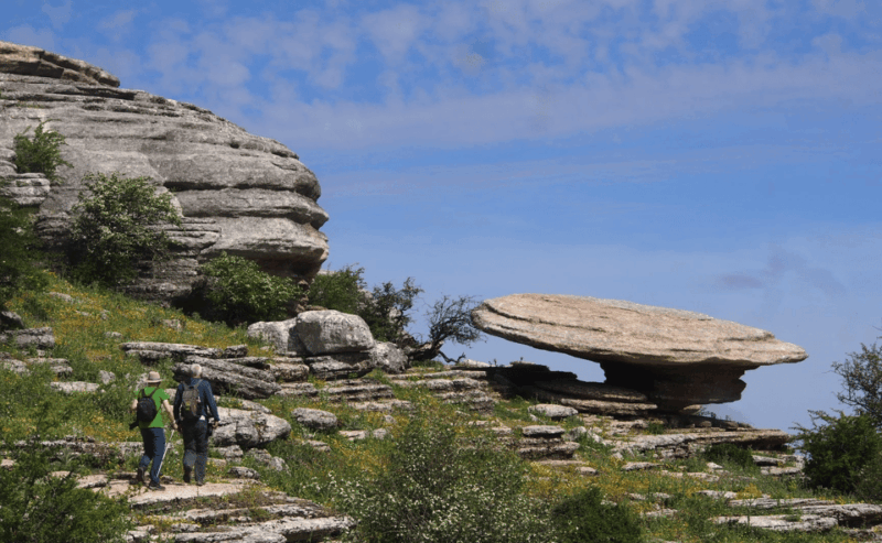 From Granada: Lobo Parque and Torcal de Antequera, Adventure Excursion - Key Points