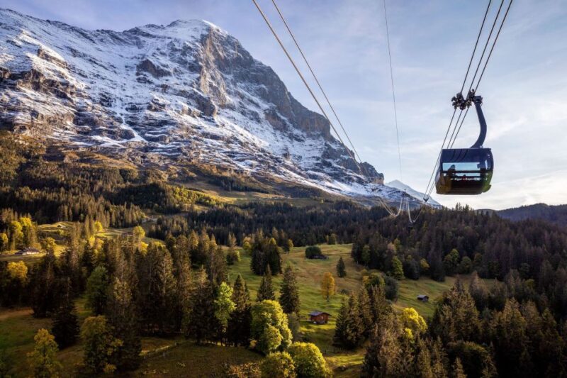 From Grindelwald: Ticket to Jungfraujoch - Top of Europe - Scenic Train Journey