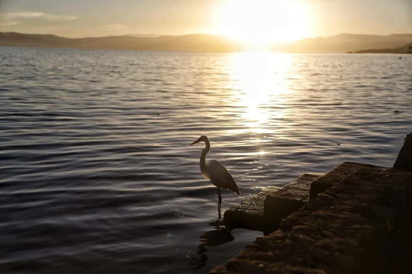 From Guadalajara: Chapala Lake & Ajijic Tour - The Sum Up