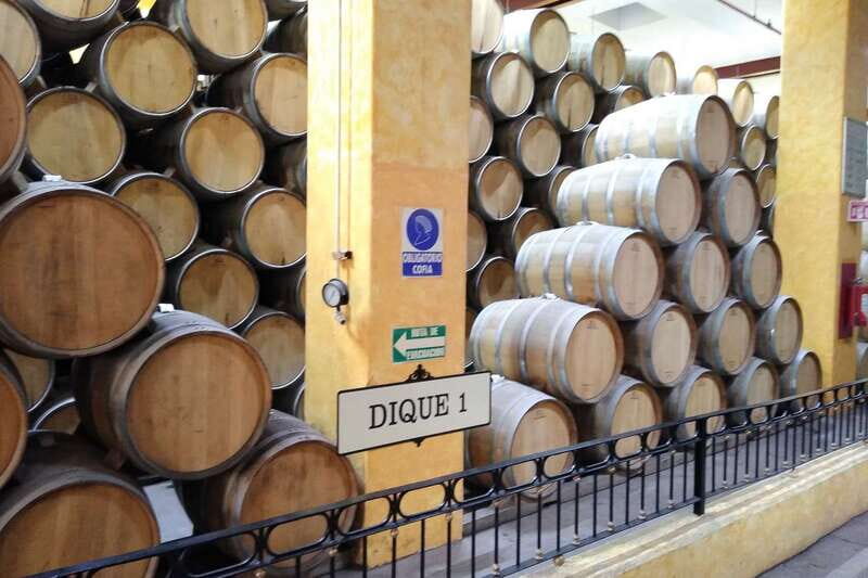 From Guadalajara: La Rojeña Distillery & Jose Cuervo Train - Who Should Consider This Tour?