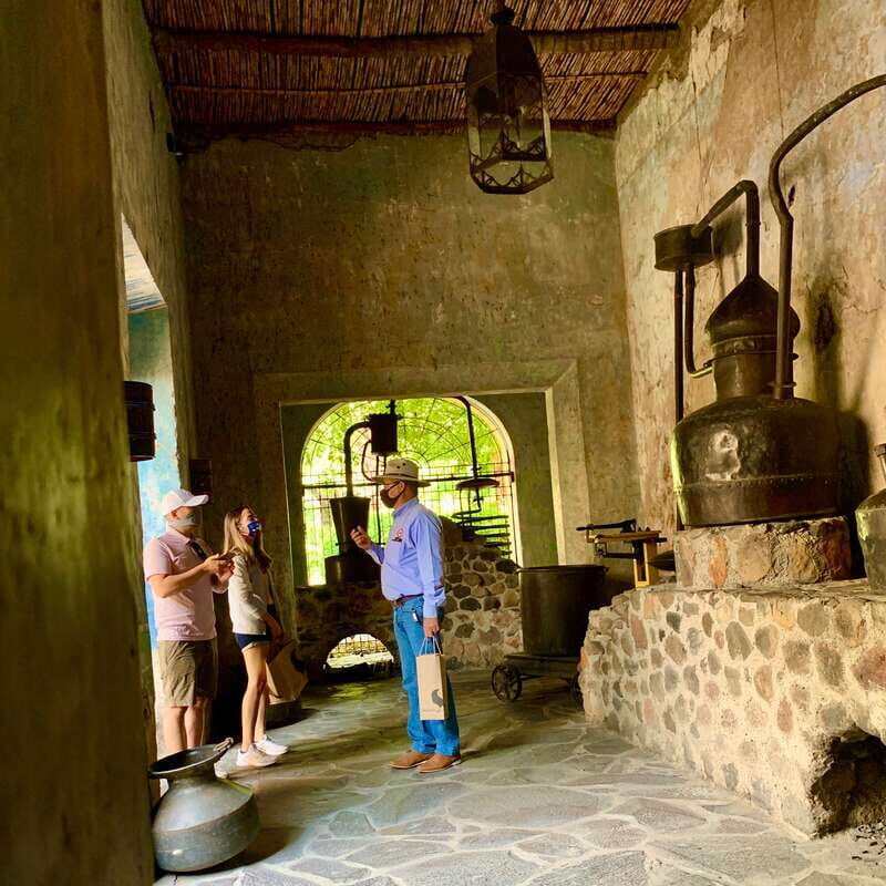 From Guadalajara: Pyramids & Jose Cuervo Tequila Tour - The Sum Up