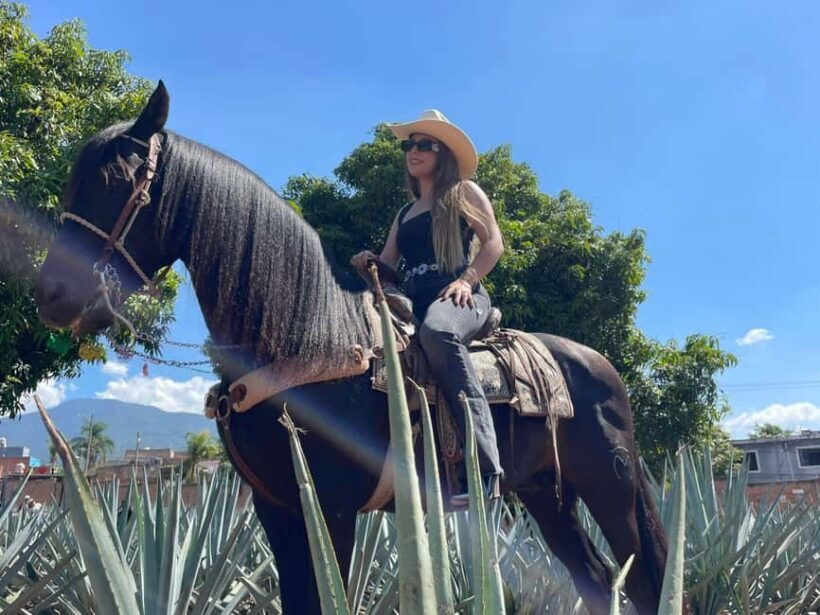 From Guadalajara: Tequila Town and Cantaritos El Guero - Discovering the Tequila Town and Cantaritos El Guero Tour from Guadalajara