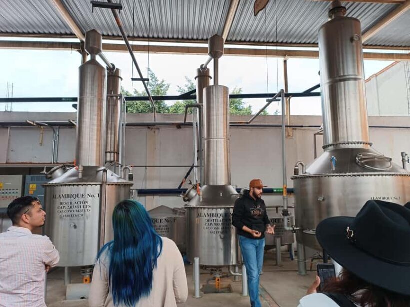 From Guadalajara: Tequila Town and Cantaritos El Guero - The Value of This Tour