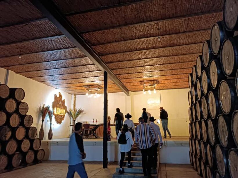 From Guadalajara: Tequila Town and Cantaritos El Guero - Who Should Consider This Tour?