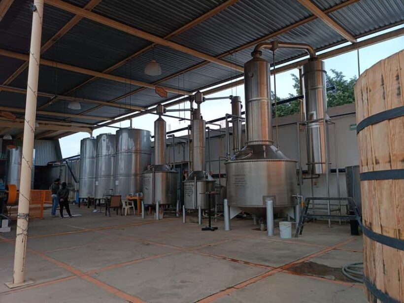 From Guadalajara: Tequila Town and Cantaritos El Guero - Final Thoughts