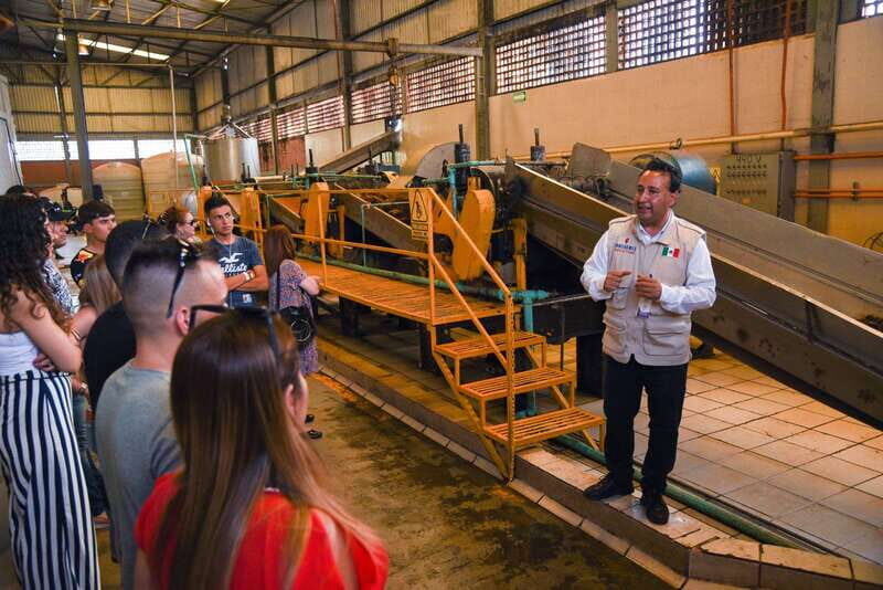 From Guadalajara: Tequila Trail Tour with Tasting - Final Thoughts