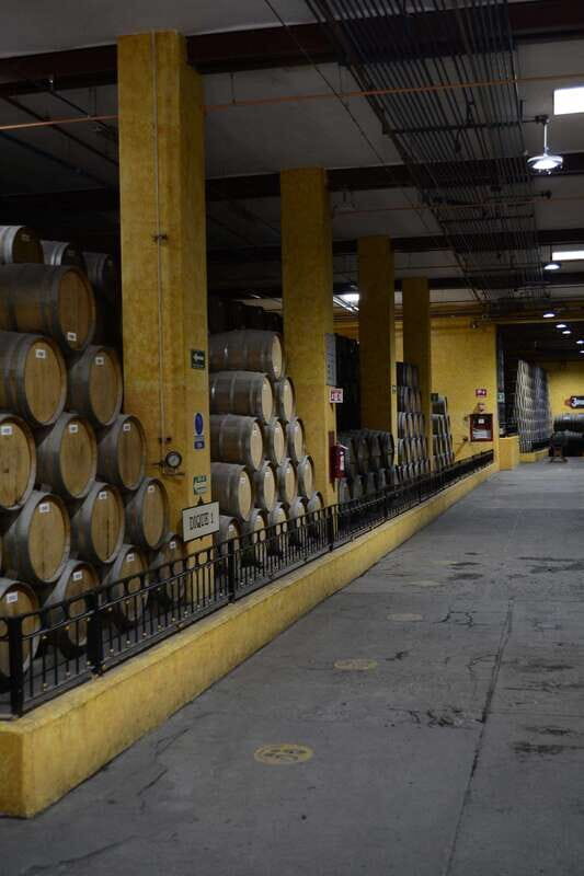From Guadalajara: Town of Tequila & Jose Cuervo Factory Tour - Practical Considerations