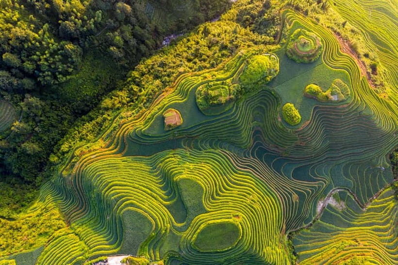 From Guilin: 1-Day Private Longji Rice Terraces Tour - Exploring the Longji Rice Terraces