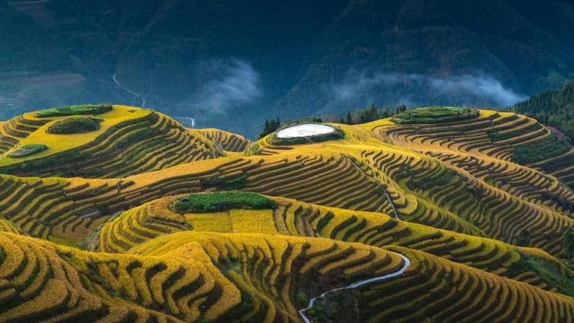 From Guilin: 1-Day Private Longji Rice Terraces Tour - Lunch: Tasting Bamboo Rice and Local Flavors