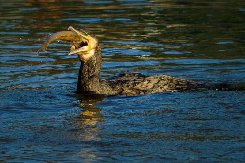 From Guilin: 6-Day Guilin, Yangshuo, and Longsheng Tour - Practical Details and Value Considerations