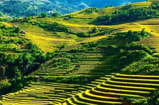 From Ha Giang: Motorbike Tour 3D2N (Small Group with Easy Riders) - An In-Depth Look at the Ha Giang Motorbike Tour
