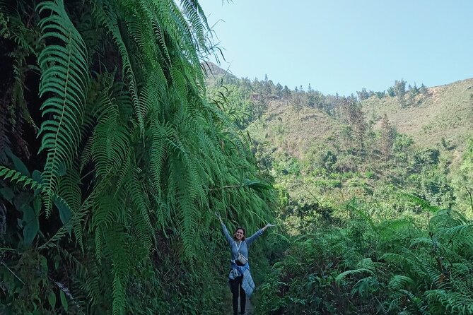 From Hà Ni : Conquer Fansipan Peak 2 days 1 night - Overview of the Fansipan Trek Experience