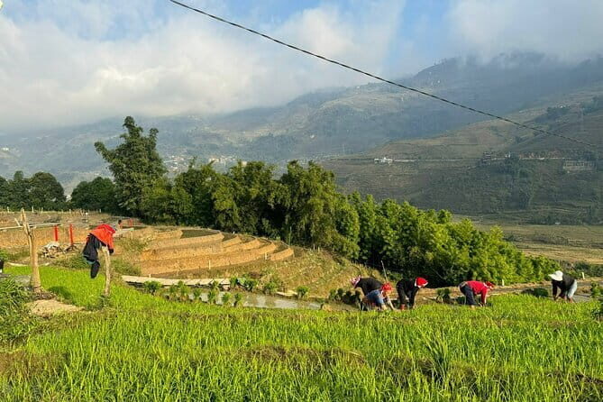 From Hà Ni ; Mu Cang Chai 3 Days 2 Nights By Car and Trekking - Authentic Experiences and Cultural Encounters