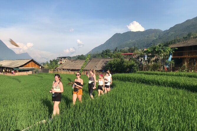From Hà Ni : Sapa trek with local guide 2 days 1 night - Key Points