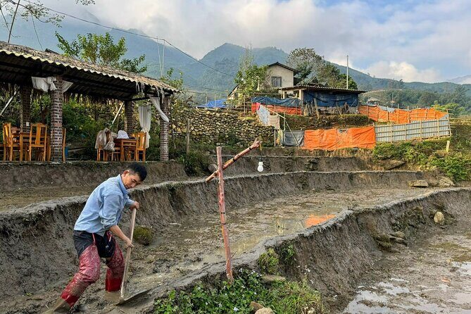 From Ha Noi: 3 Days and 2 Nights Sapa Trek with Local Guide - A Deep Dive into the Sapa Trek Experience