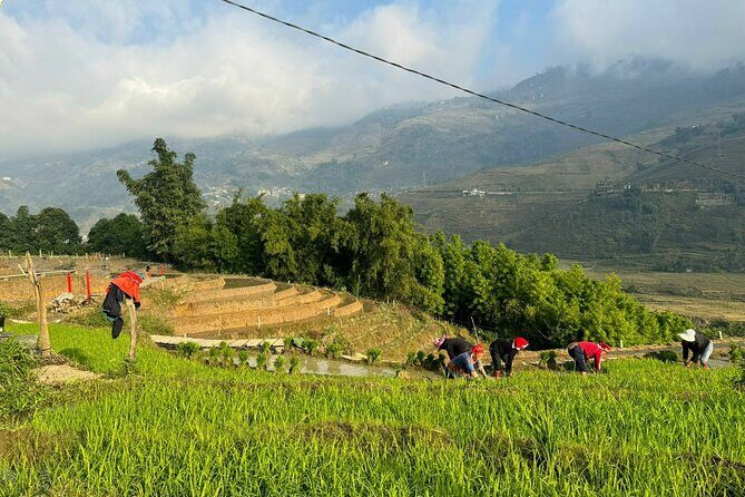 From Ha Noi: 3 Days and 2 Nights Sapa Trek with Local Guide - Who Will Love This Tour?