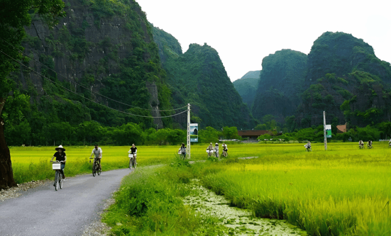 From Ha Noi: Explore Ninh Binh 2 Days 1 Night - The Experience of Travel in Ninh Binh