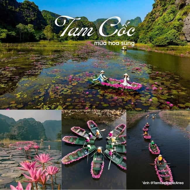 From Ha Noi: Hoa Lu- Tam Coc/Trang An-Hang Mua in Ninh Binh - An Inside Look at the Itinerary