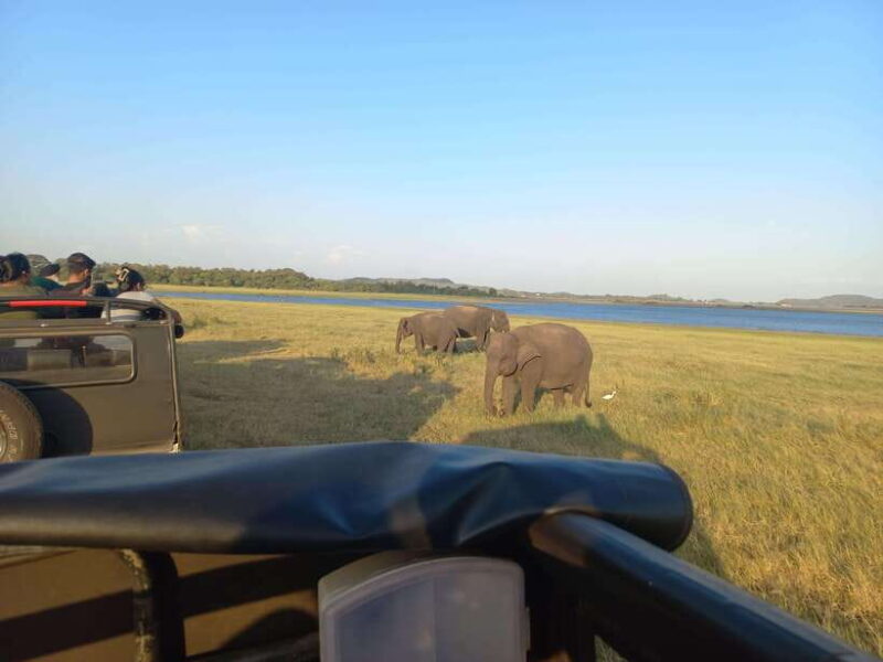 From Habarana: Minneriya National Park 4x4 Jeep Safari - Who Should Consider This Safari?