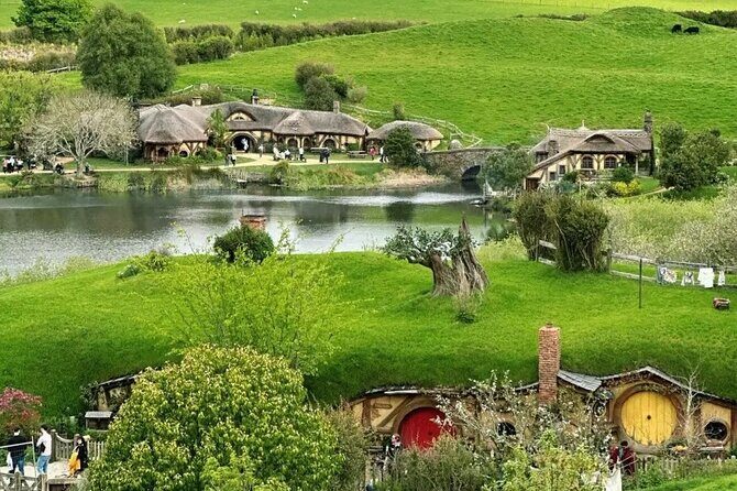 From Hamilton Hobbiton Waitomo Glowworm Caves 1 Day Private Tour - The Sum Up