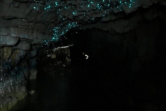 From Hamilton: Waitomo Glowworm & Cave Explorer Small Group Tour - Who Is This Tour Best For?