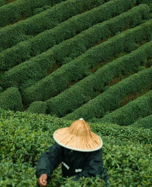 From Hangzhou: Longwu Tea Village, Longmen Town & Dam Tour - Longlin Dam: Scenic Serenity and Unique Architecture